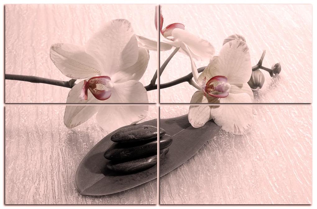 Slika na platnu - Cvjetovi orhideja 162FC (90x60 cm)