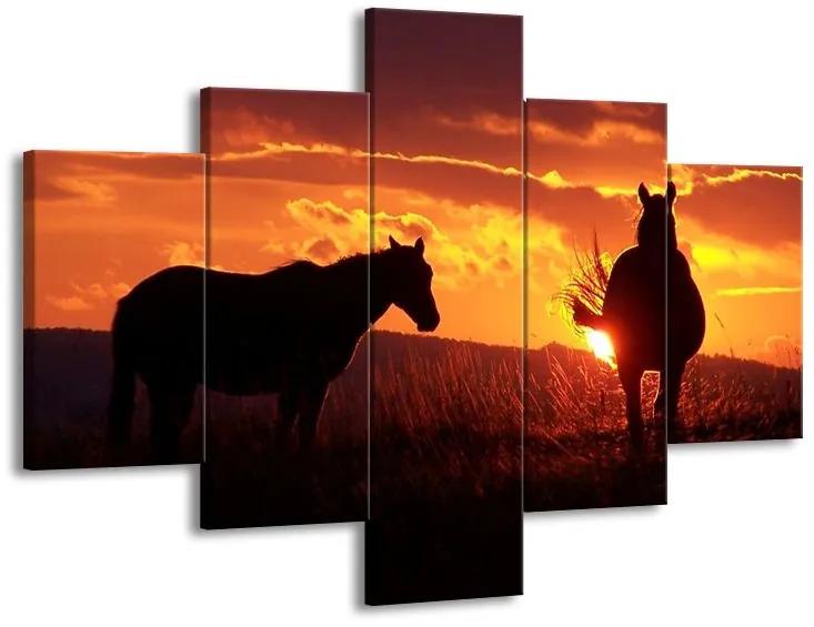 Kůň při západu slunce 3 100x70 cm