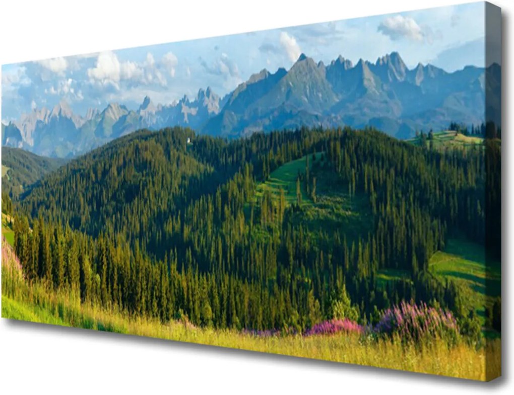 Obraz Canvas Skleněný Hora Les Příroda