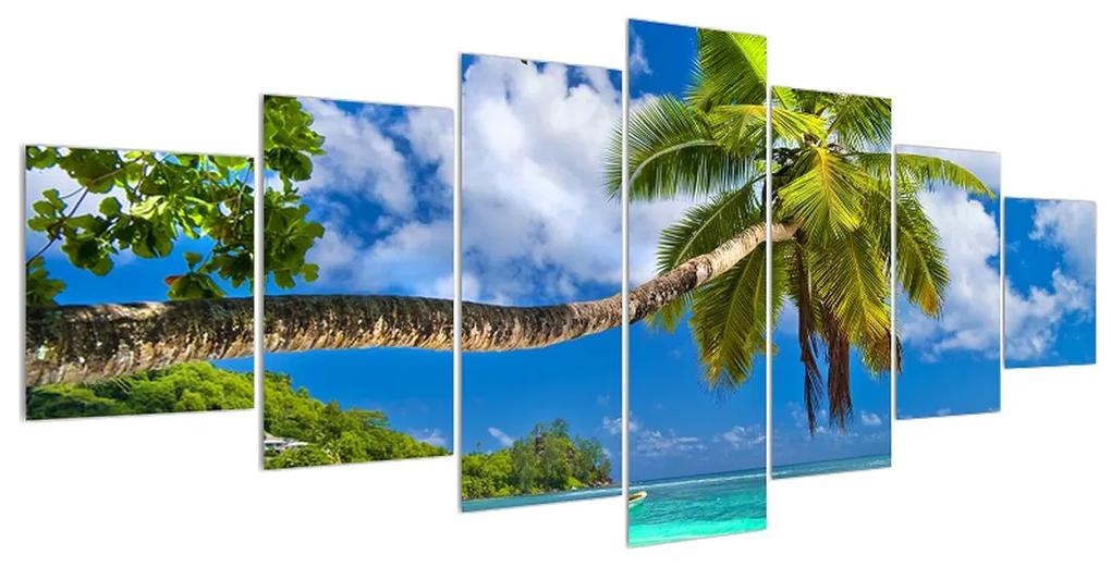 Obraz palmy a pláže (210x100 cm)