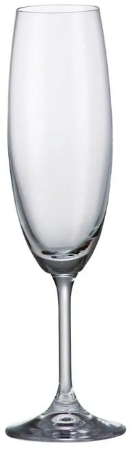 BOHEMIA SYLVIA SKLENICE NA ŠAMPAŇSKÉ 220 ML SADA 6 KS