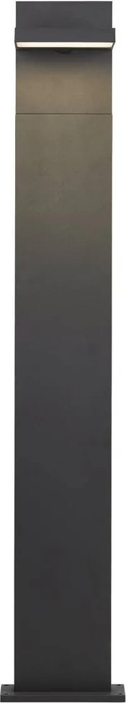 LA 1002992 ABRIDOR POLE 100 Outdoor, stojací LED svítidlo, IP55, antracitové, 3000/4000K - BIG WHITE (SLV)