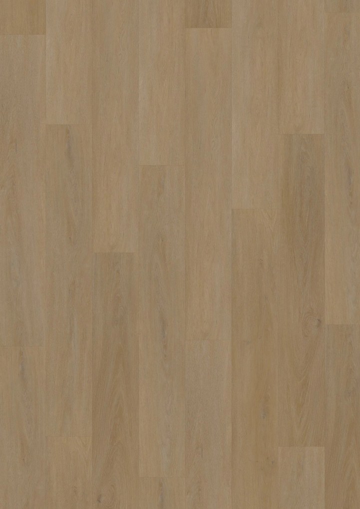 Vinylová podlaha lepená ECO 55 064 English Oak Honey, 1219,2 x 184,1 mm, Oneflor