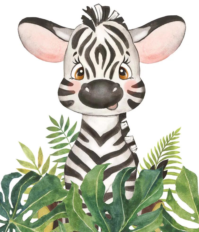 Plakát Safari Zebra - Obraz, Plakát Velikost: A3 - 29,7x42 cm, Volba rámu: bez rámu