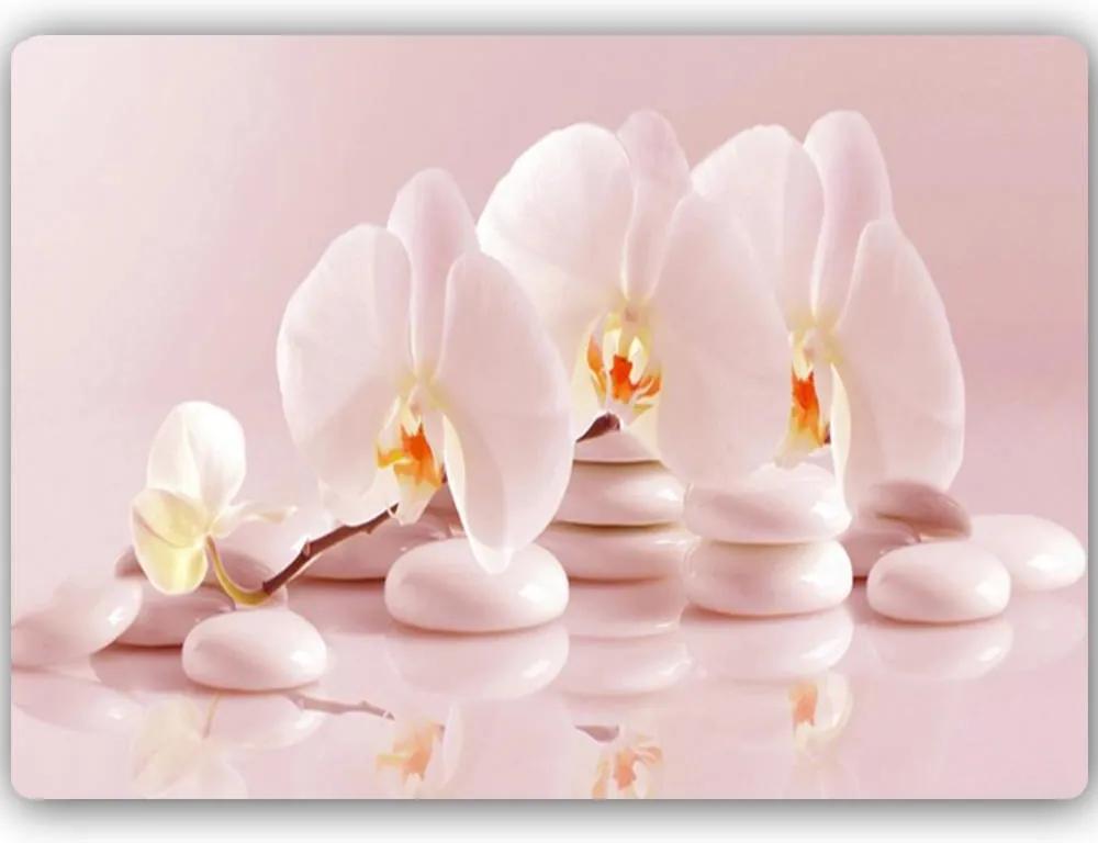 CARO Kovový obraz - Orchids Zen 60x40 cm