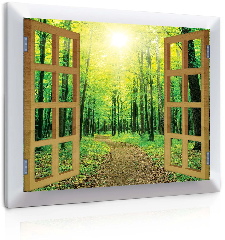 Malvis ® Obraz paprsek v zeleném lese Velikost: 150x130 cm