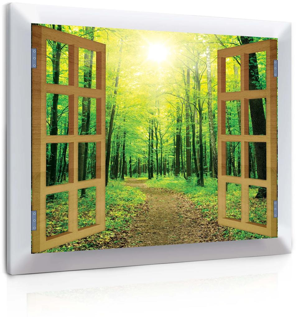 Malvis ® Obraz paprsek v zeleném lese Velikost: 50x40 cm