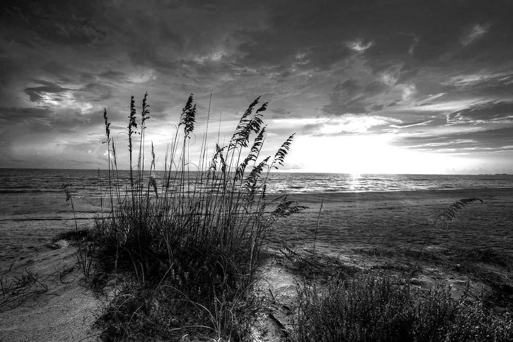 Samolepící fototapeta západ slunce na pláži v černobílém - 150x100 cm
