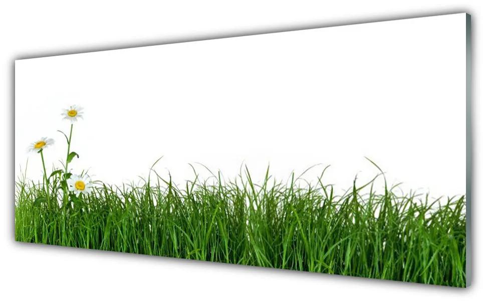 akrylový obraz Plevel Příroda Rostlina 125x50 cm