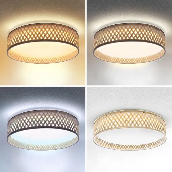 Brilagi - LED Stmívatelné stropní svítidlo CAMILA LED/48W/230V 3000-6500K + DO