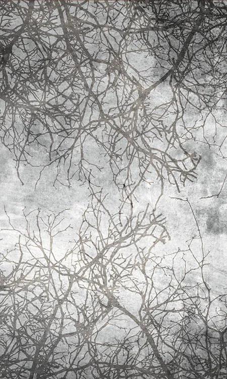 DIMEX | Vliesová fototapeta na zeď Abstrakt větve MS-2-0386  | 150 x 250 cm | černá, šedá