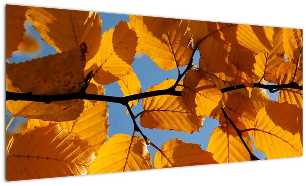 Podzimní listí - obraz (100x40cm)