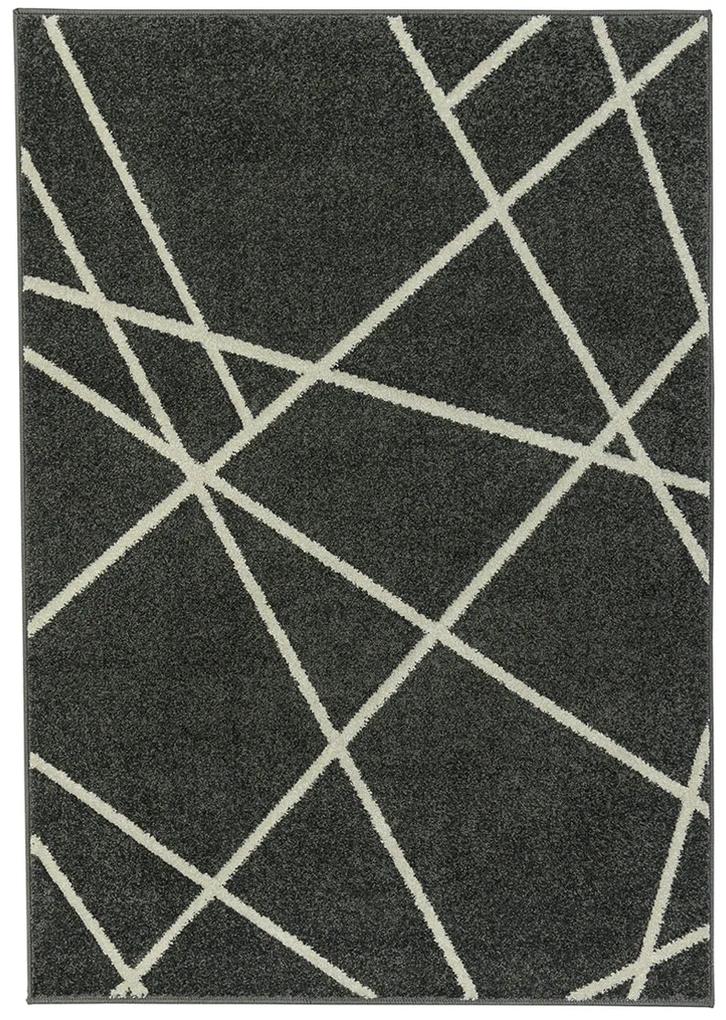 Koberce Breno Kusový koberec PORTLAND 2605/RT4Z, Šedá, Vícebarevné, 67 x 120 cm