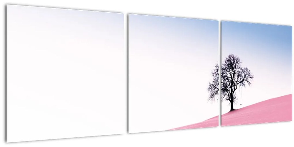 Obraz - Růžový sen (120x40 cm), 40 dalších rozměrů