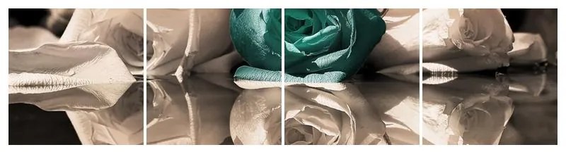 Obraz tyrkysové růže v obrazu (160x40 cm), 40 dalších rozměrů
