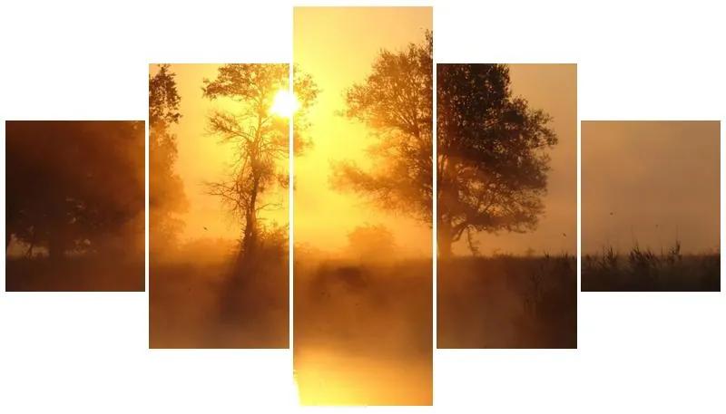 Obraz stromů stojících v mlze (125x70 cm), 40 dalších rozměrů