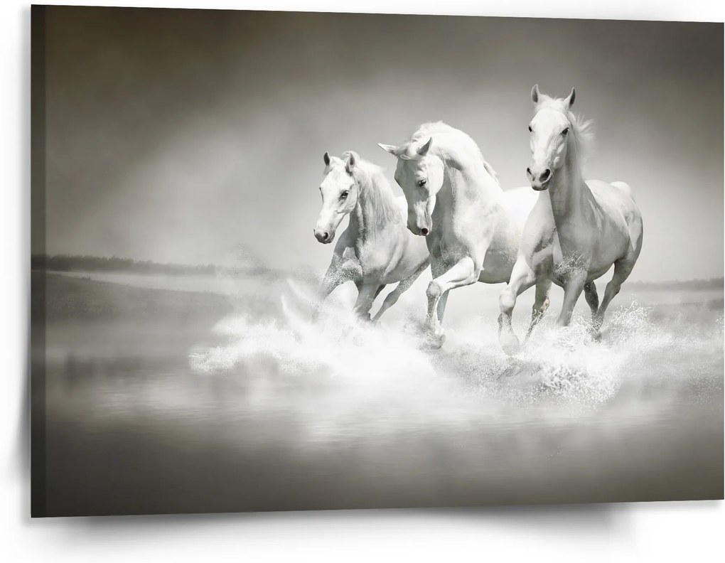 Obraz SABLO - Bílí koně 150x110 cm
