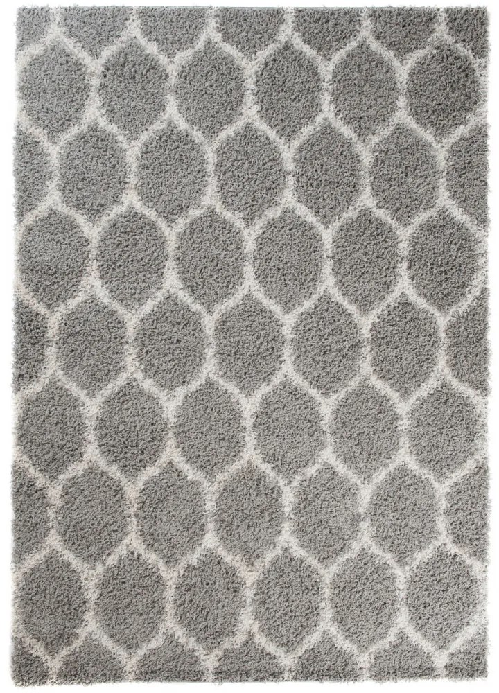 Kusový koberec Shaggy Selma šedý, Velikosti 80x150cm