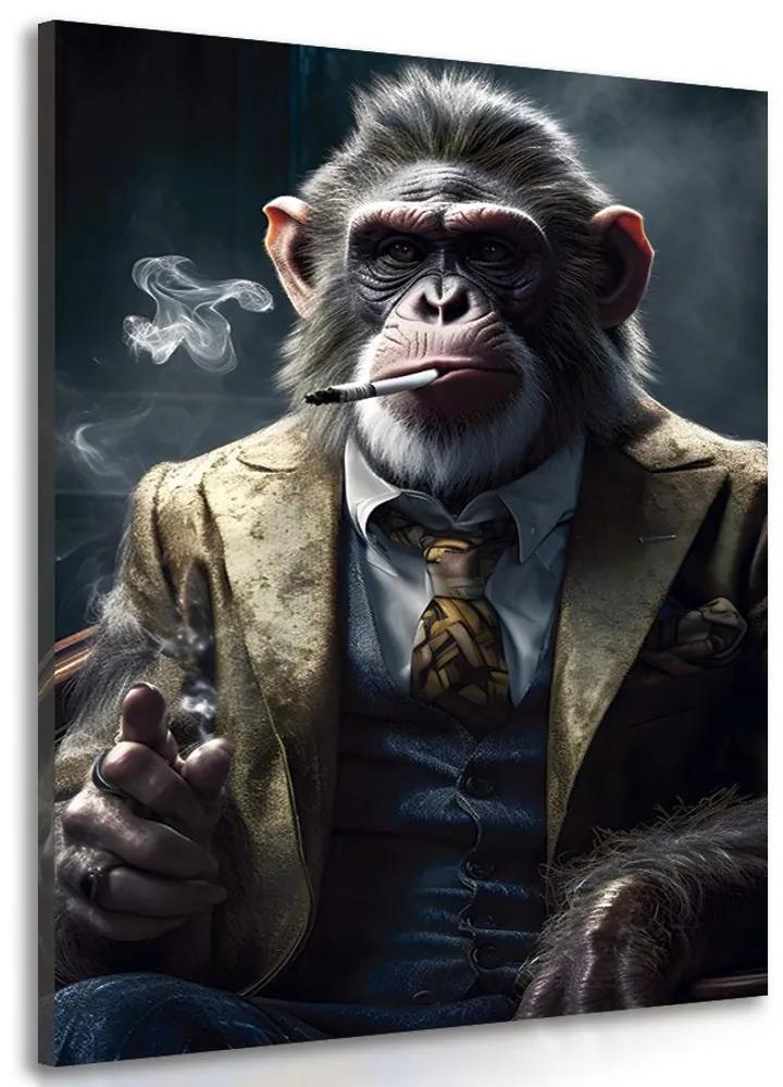 Obraz zvířecí gangster šimpanz Varianta: 40x60