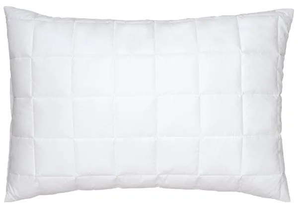 SCANquilt polštář EXCLUSIVE SATÉN - bavlna s Aloe vera 70 x 90 cm