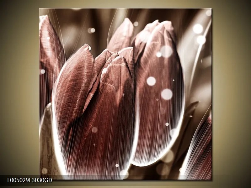 Obraz cihlově zbarvených tulipánů (), 40 dalších rozměrů