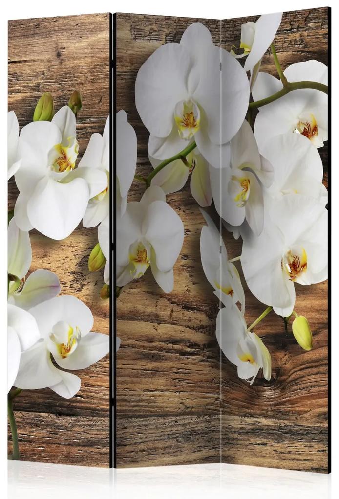 Paraván orchidej na dřevě Velikost (šířka x výška): 135x172 cm