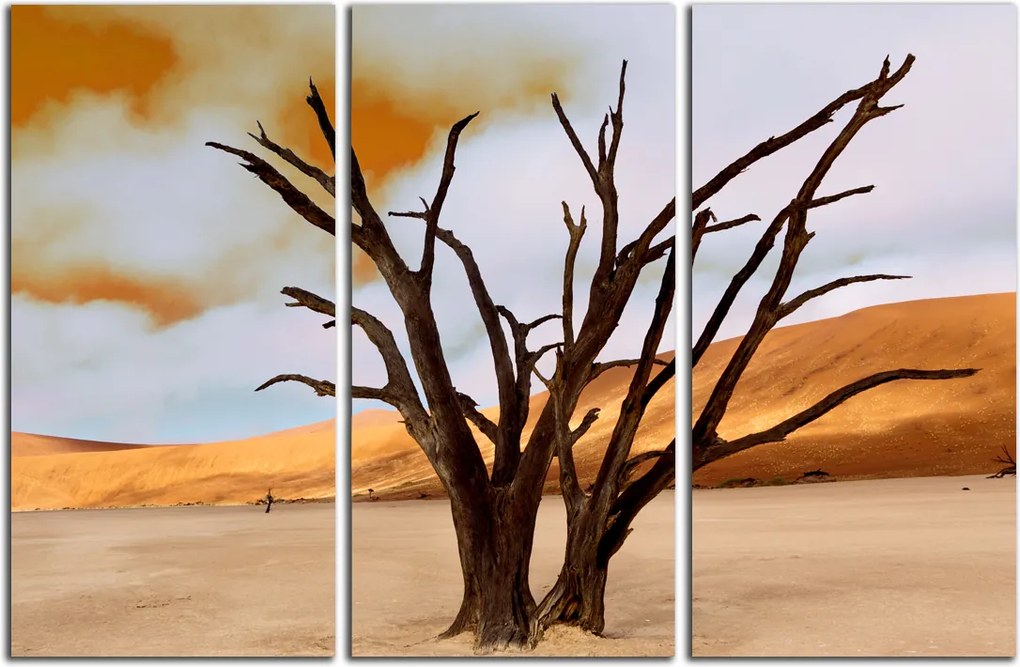 Obraz Strom a poušť , vícedílný
