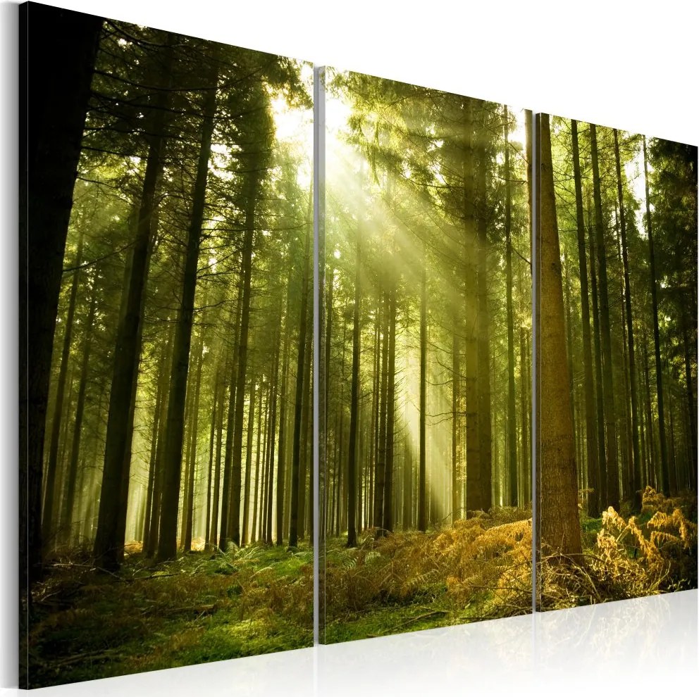 Obraz na plátně Bimago - Zelený les 60x40 cm