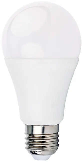 ECOLIGHT LED žárovka - E27 - 10W - 24V - neutrální bílá