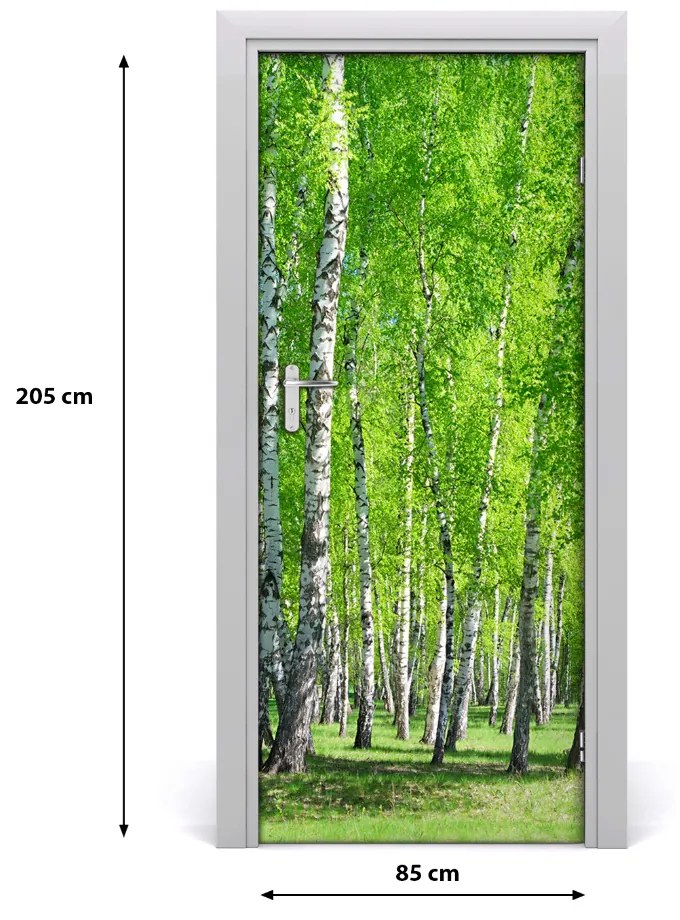 Fototapeta na dveře samolepící břízový les 85x205 cm