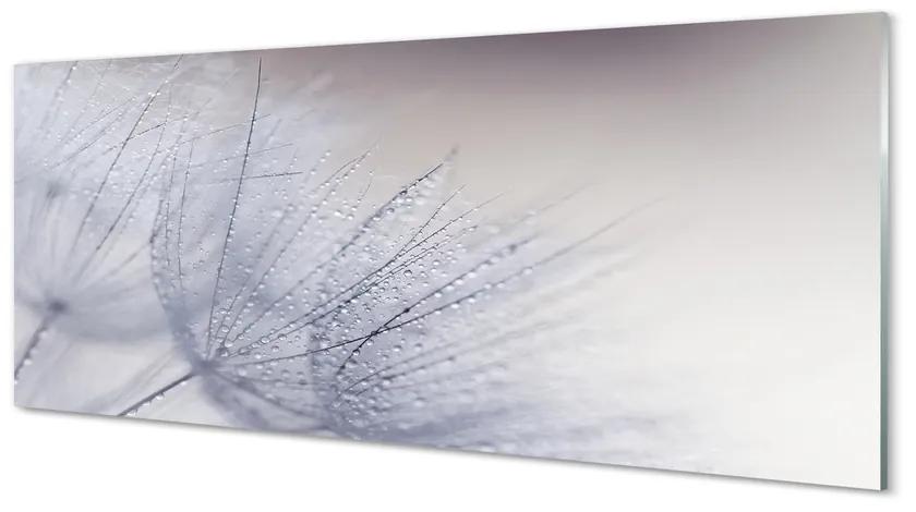 akrylový obraz Kapky rosy pampelišky 120x60 cm