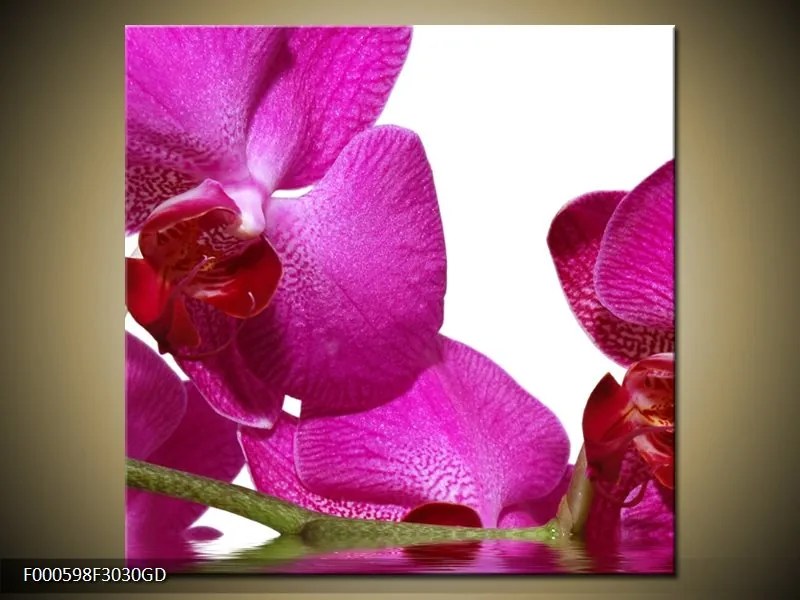 Obraz orchidejí (), 40 dalších rozměrů