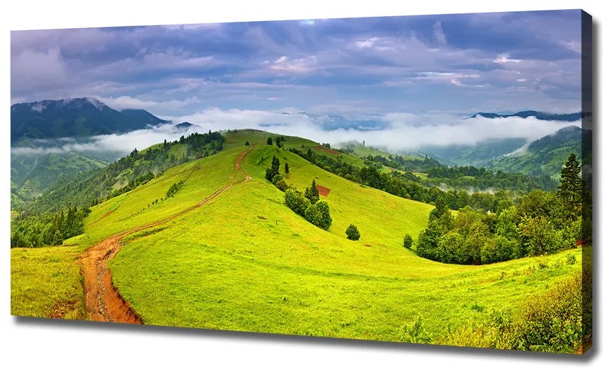 Wallmuralia Foto obraz na plátně Zelené pahorky 120x60 cm