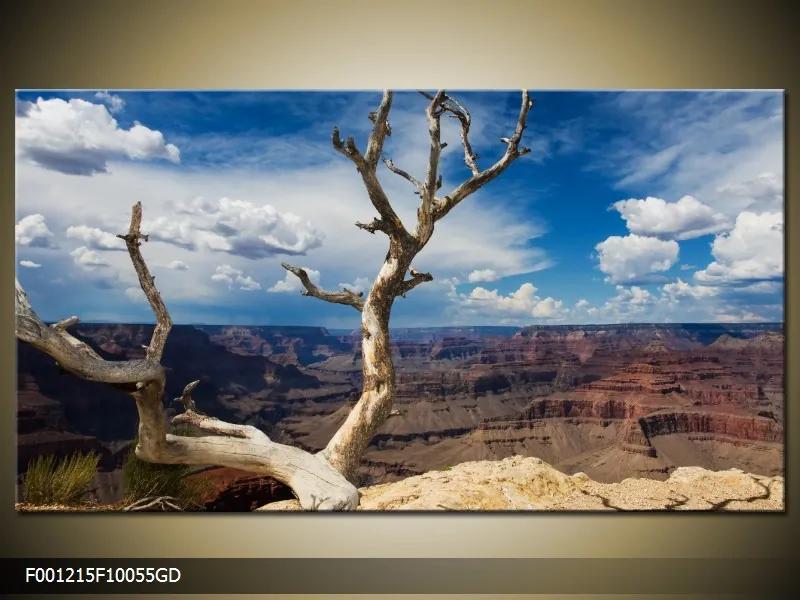 Obraz - Grand Canyon (), 40 dalších rozměrů