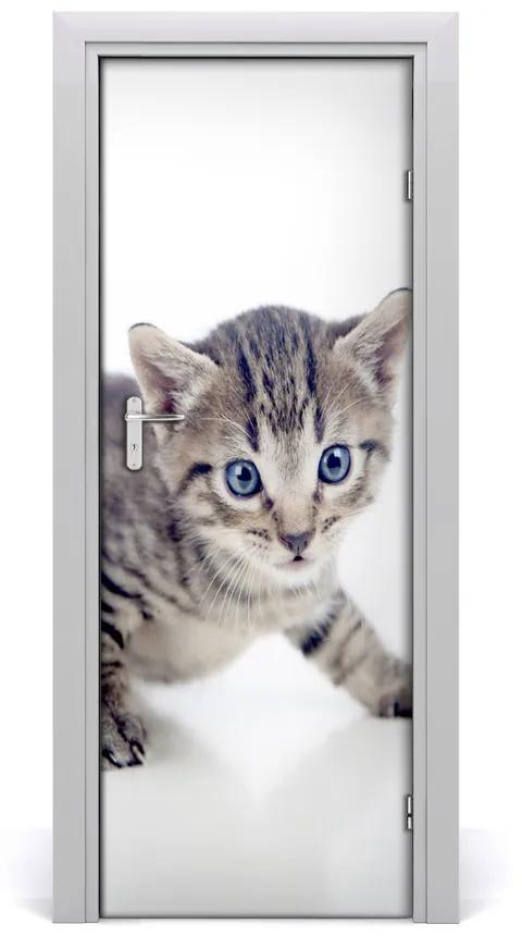 Samolepící fototapeta na dveře Malá kočka 95x205 cm