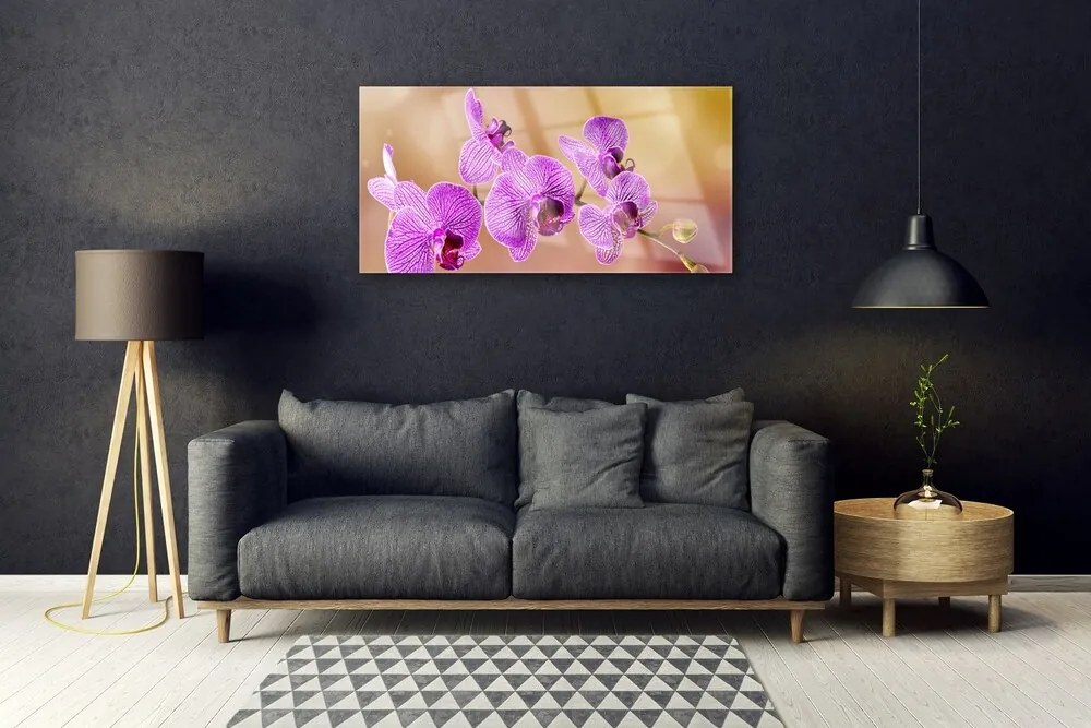 Obraz na skle Orchidej Výhonky Květiny Příroda 140x70 cm