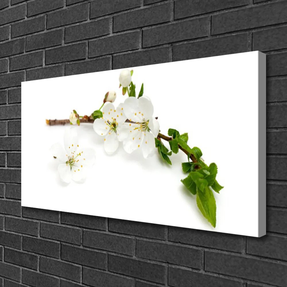 Obraz na plátně Květ Větev Příroda 100x50 cm