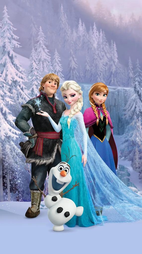 FCC L 4147 Foto závěs dětský obrazový Frozen Disney FCCL 4147, velikost 140 x 245 cm