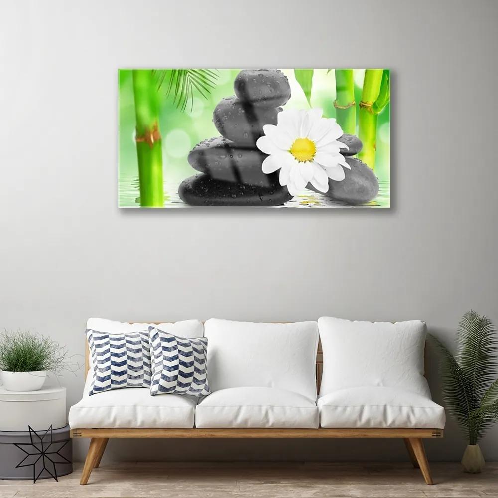 Plexisklo-obraz Bambus Kameny Zen Květ 100x50 cm