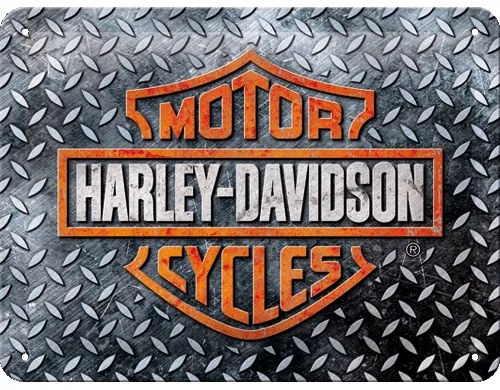 Postershop Plechová cedule: Harley-Davidson (Diamond Plate) - 20x15 cm