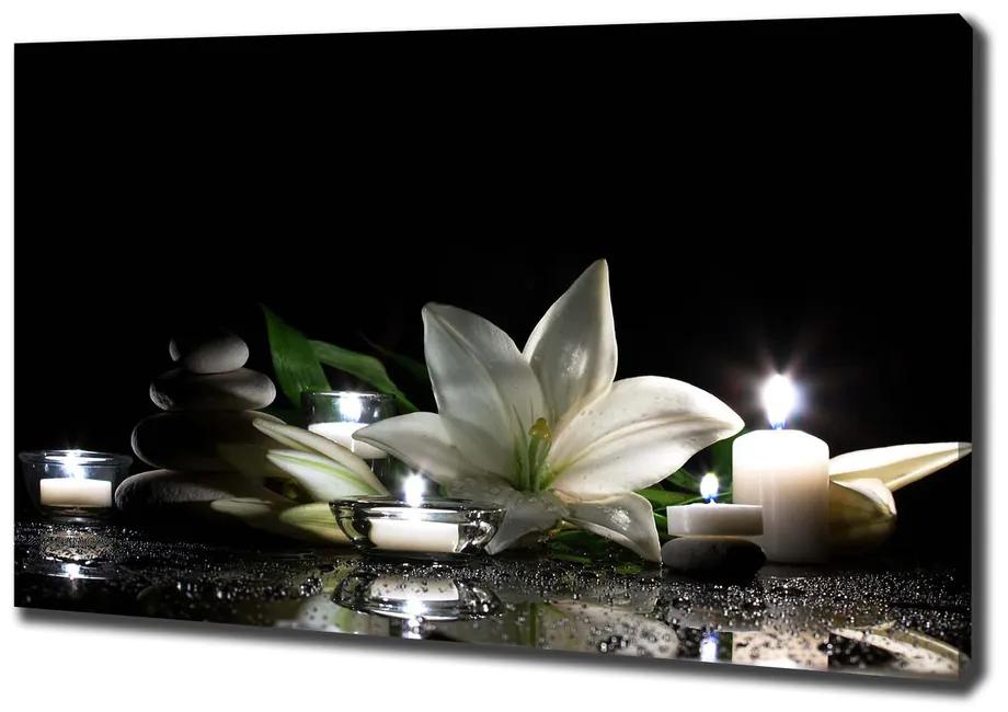 Wallmuralia Foto obraz na plátně Bílá lilie 100x70 cm