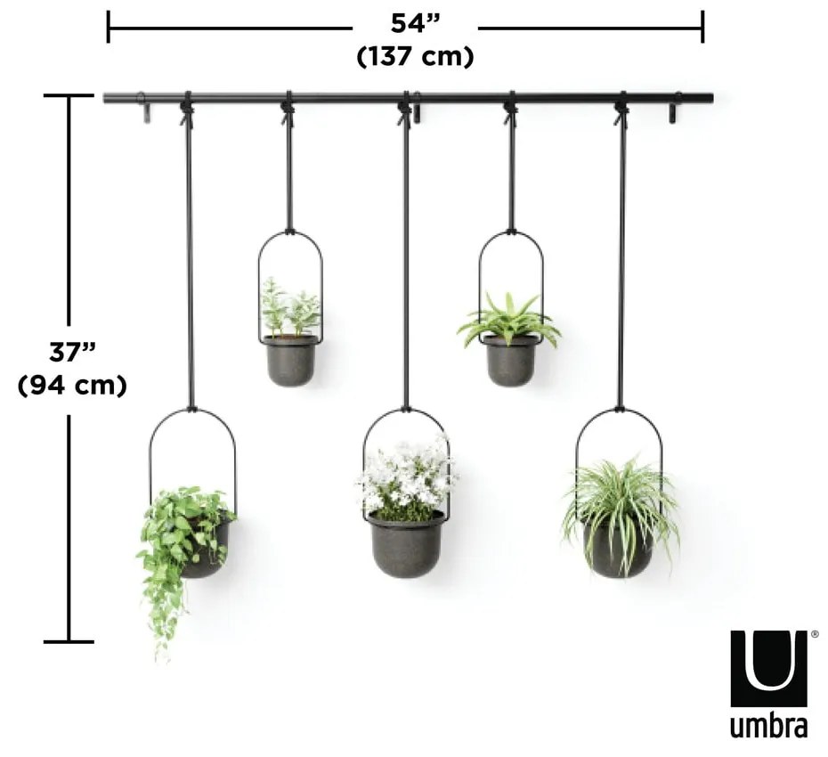 Závěsný plastový obal na květináč na bylinky 5 ks ø 7,5 cm Triflora – Umbra