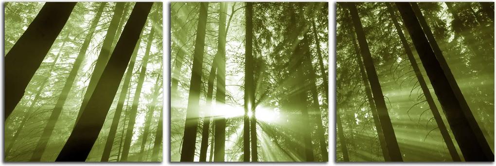 Obraz Slunce v lese , vícedílný