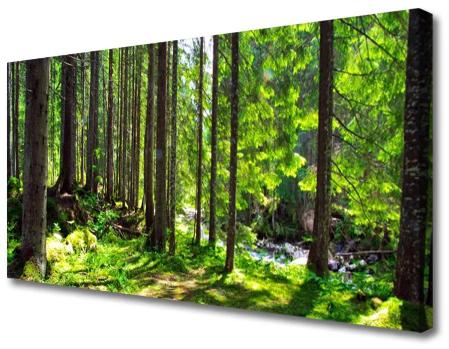 Obraz na plátně Les Stromy Rostlina Příroda 100x50cm