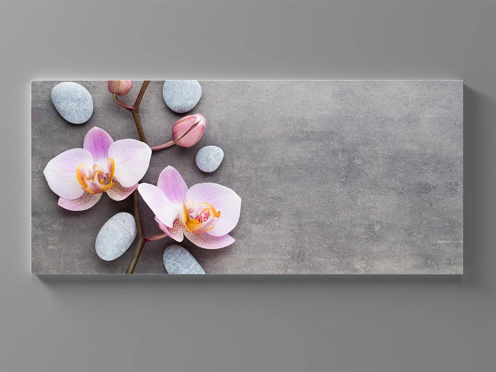 Obraz orchidej na šedém pozadí Rozměr: 100 x 45 cm