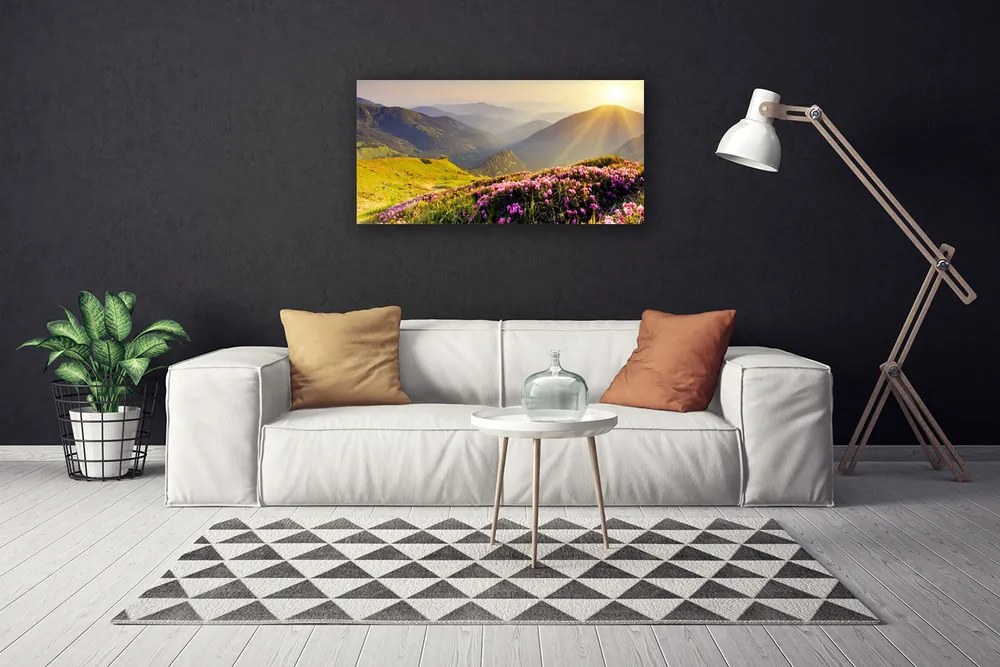 Obraz na plátně Hora Louka Krajina 100x50 cm