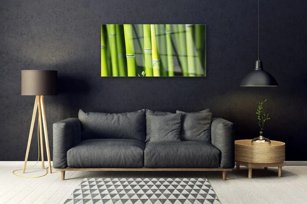 Obraz na skle Bambus Příroda Rostlina 125x50 cm