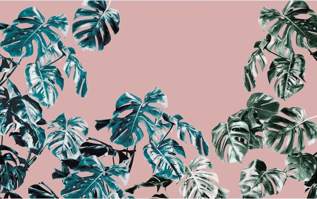Komar Vliesová fototapeta Monstera Rosé 400 x 250 cm