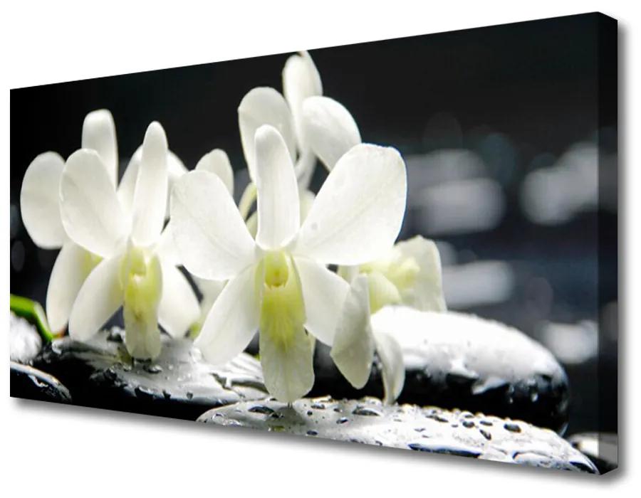 Obraz na plátně Kameny Květiny Orchidej 140x70 cm