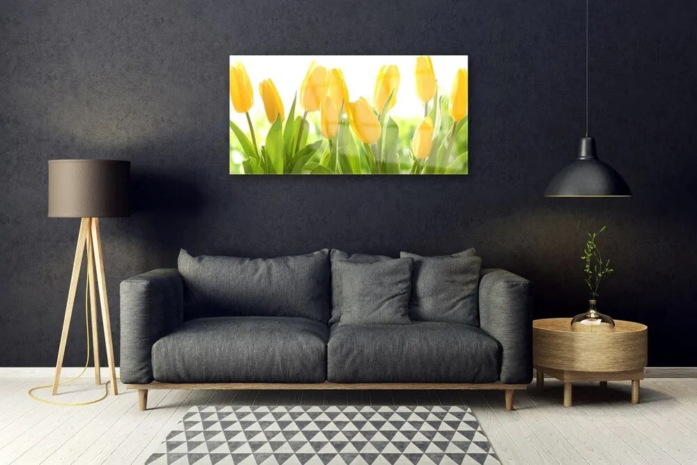 akrylový obraz Tulipány Květiny Rostlina 100x50 cm